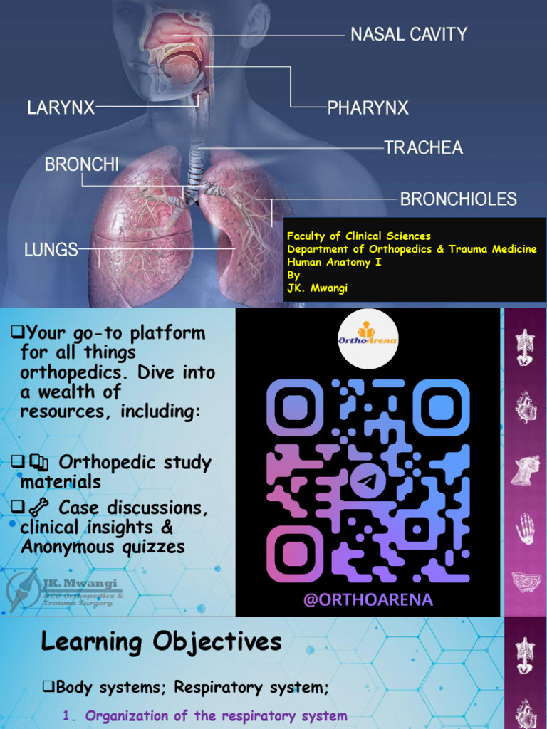 Body Systems - Respiratory System 1 | PDF | Respiratory Tract | Human Nose