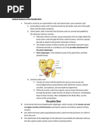 Uterine Support Structures Explained | PDF | Pelvis | Uterus