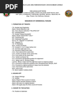Guard Mounting & Inspection Training Guide | PDF | Military Life | Military