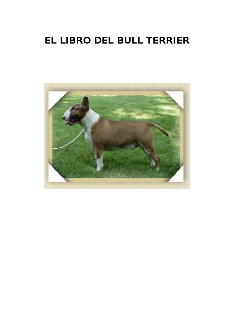 El Libro Del Bull Terrier2 | PDF | Physical Exercise | Bull Terrier