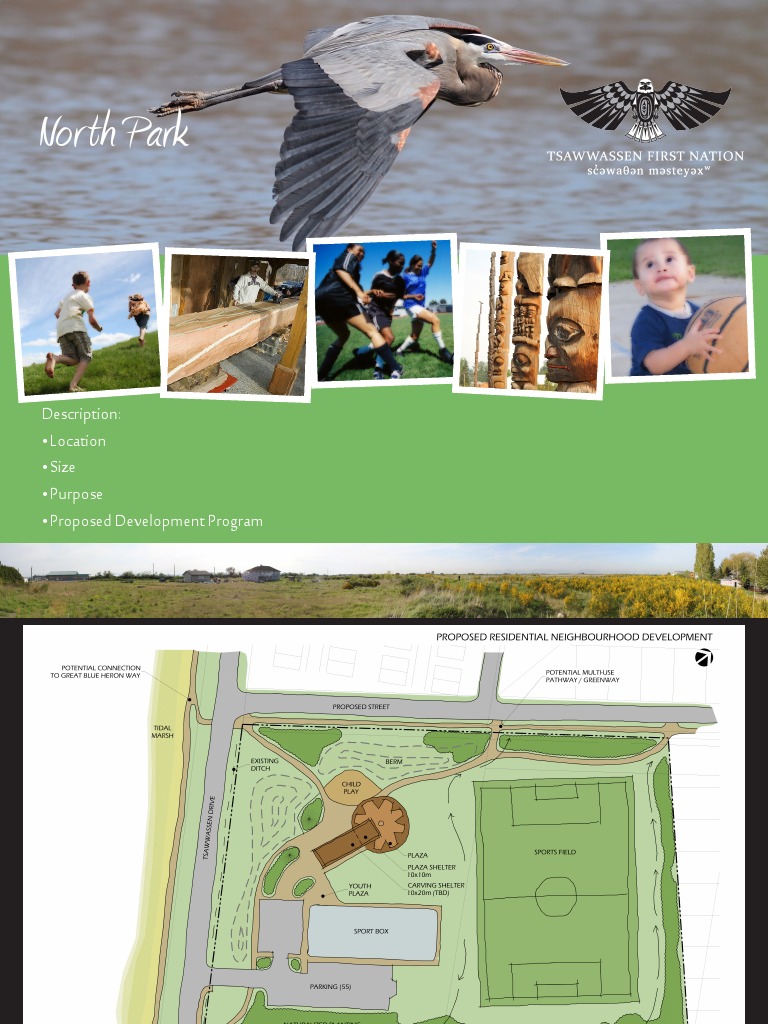 TFN Sportsfield - Panel - v2 | PDF