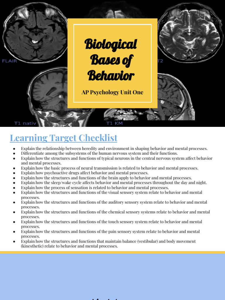 Unit 1 Biological Bases of Behavior | PDF | Neurotransmitter | Neuron