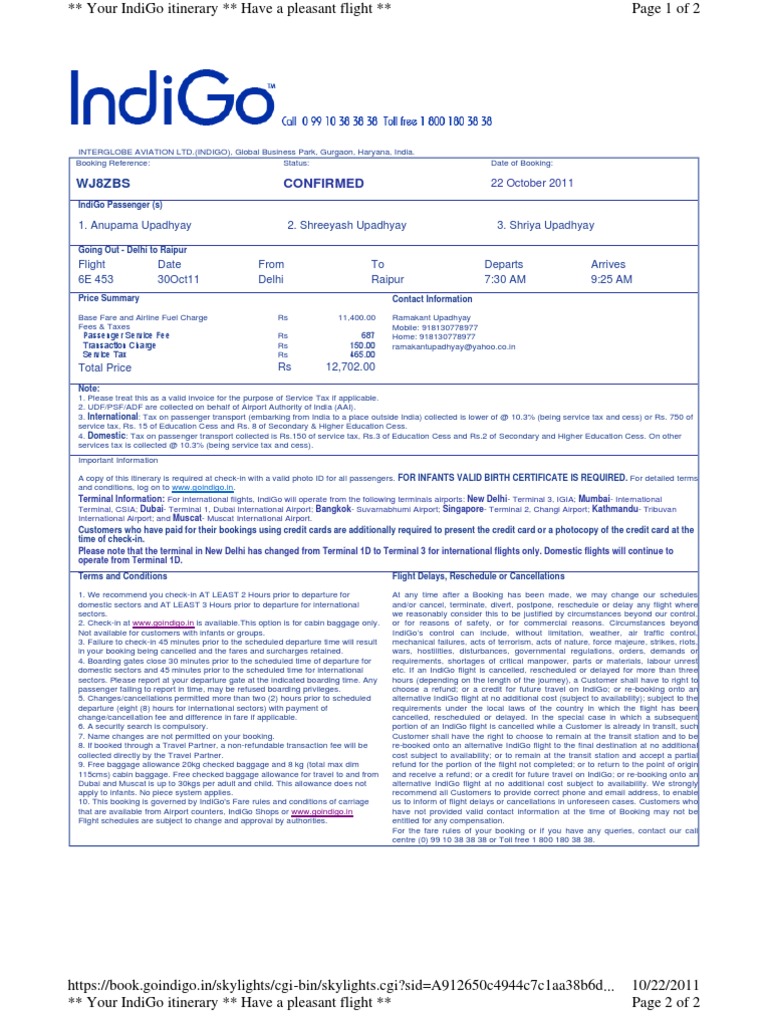 IndiGo Flight Itinerary: Delhi to Raipur | PDF | Technology & Engineering