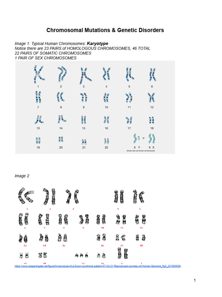 Genetic Disorders_Chromosomal Mutations | PDF | Karyotype | Chromosome