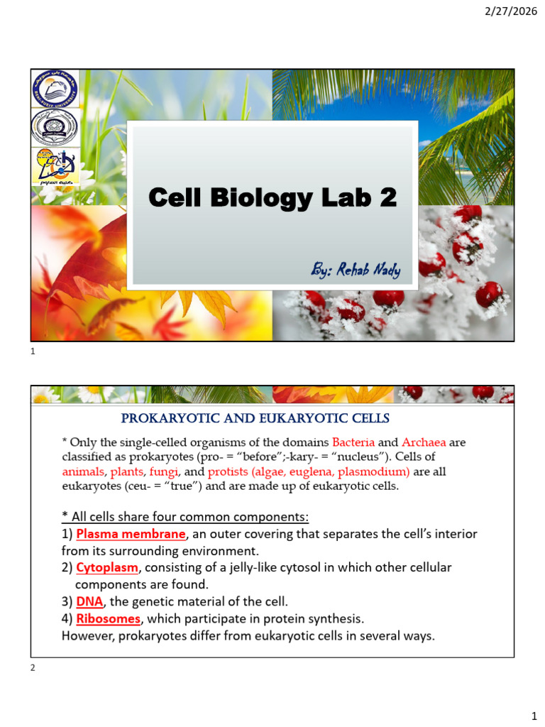 Cytology Lab.2 | PDF | Cell (Biology) | Prokaryote