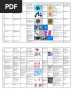 Parasitology Table Protozoa | PDF | Medical Specialties | Biology