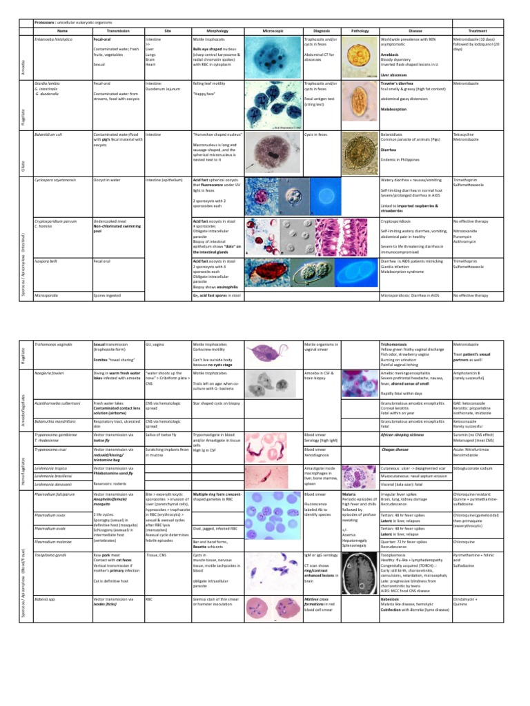 Medical Parasite Table | Public Health | Immunology