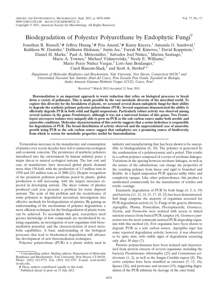 Biodegradation of Polyester Polyurethane by Endophytic Fungi | PDF ...