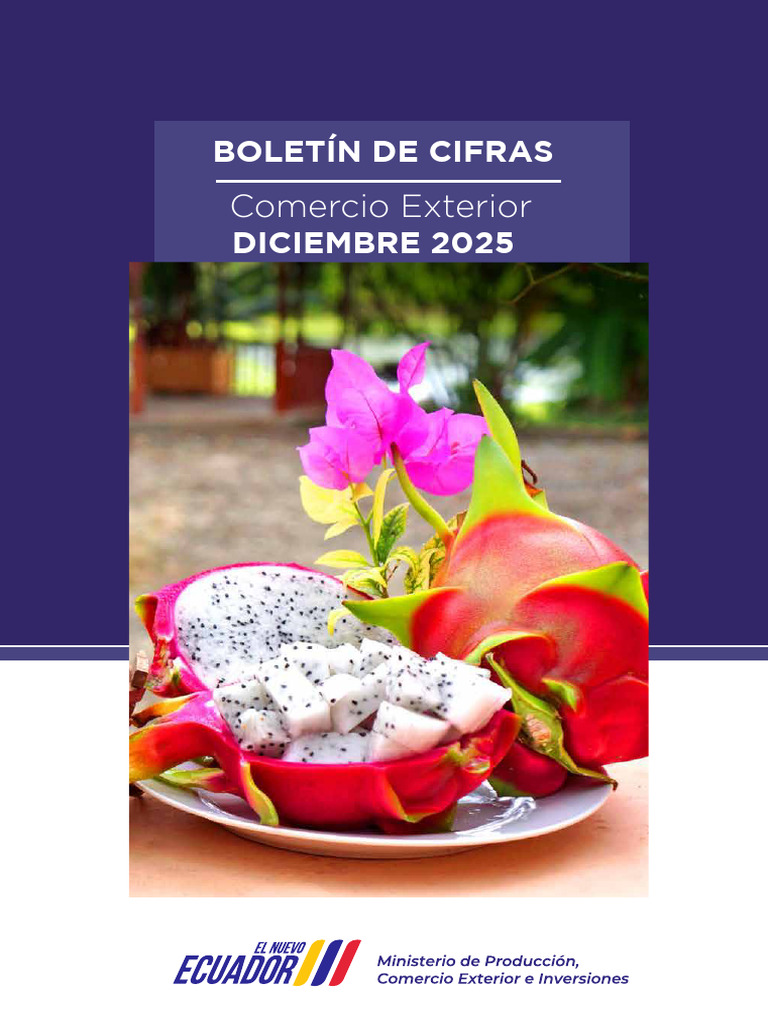 Boletin Comercio Exterior Diciembre 2025 | PDF | Economias