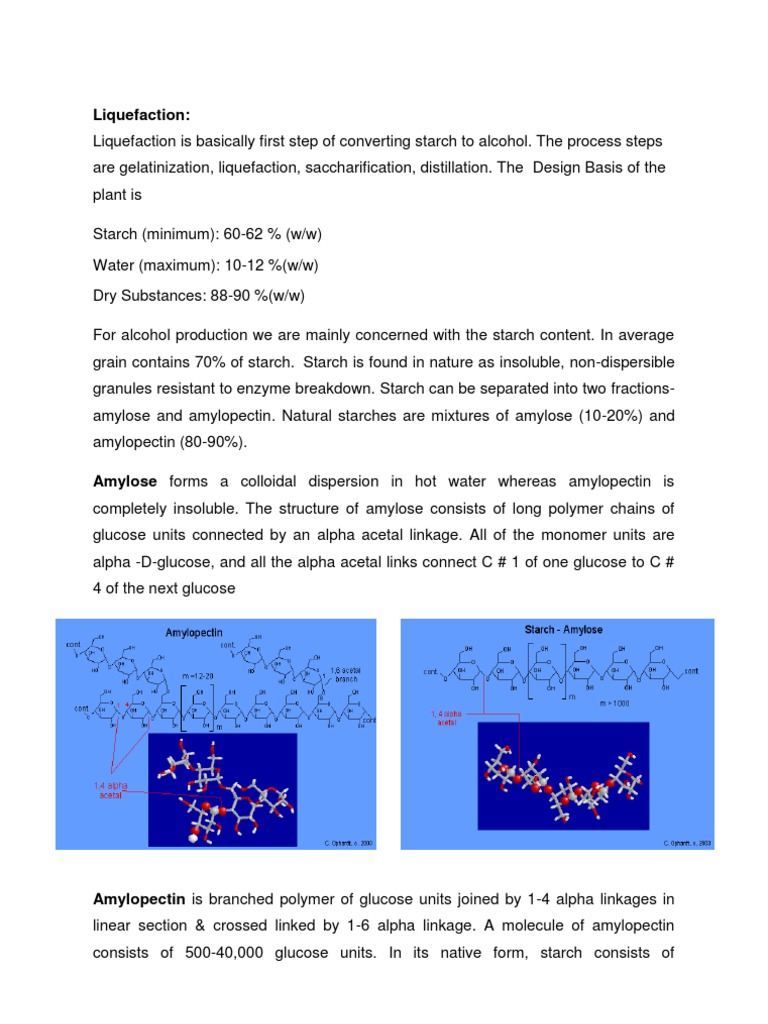 Liquefaction | Starch | Hydrolysis