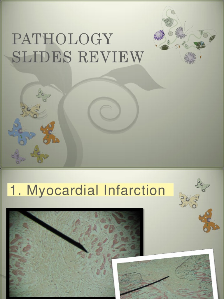 Pathology Slides Review: Key Conditions | PDF