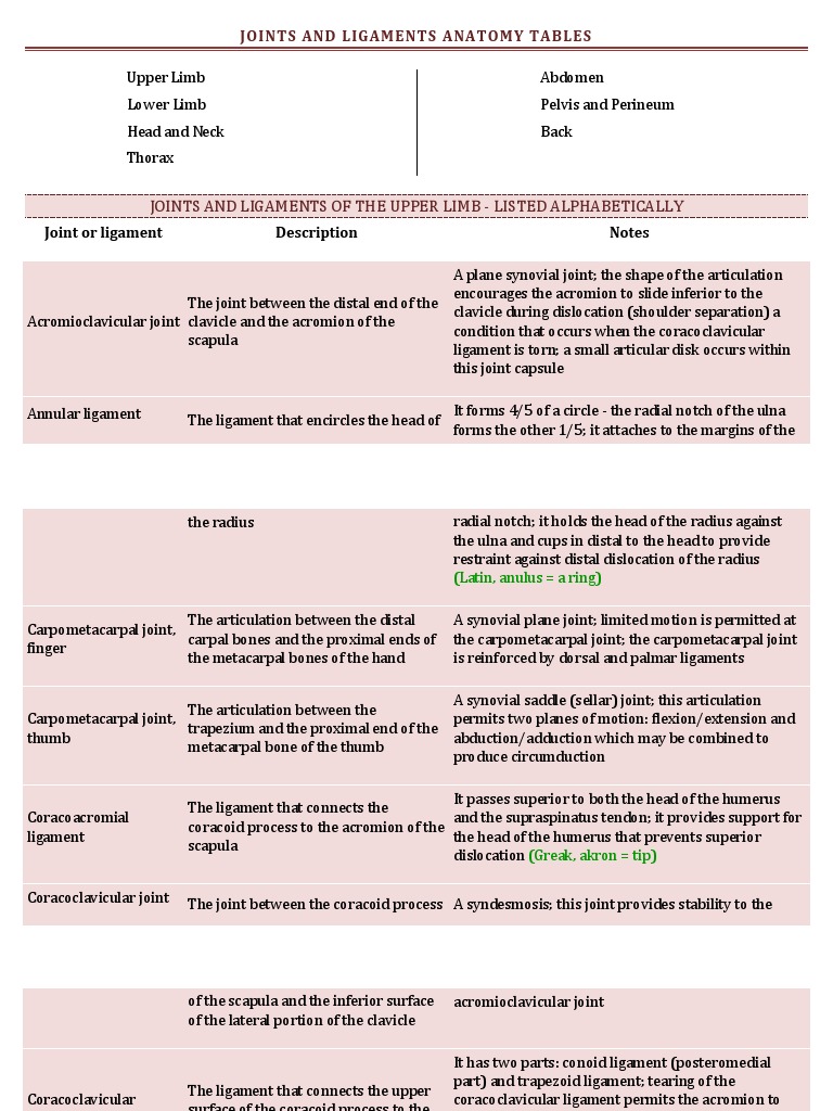 Joints and Ligaments Anatomy Tables | Download Free PDF | Knee | Vertebra