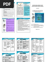 Bupirop 0 5 Pesado X 24 4 ML Ampoulepack | PDF | Terapia intravenosa ...