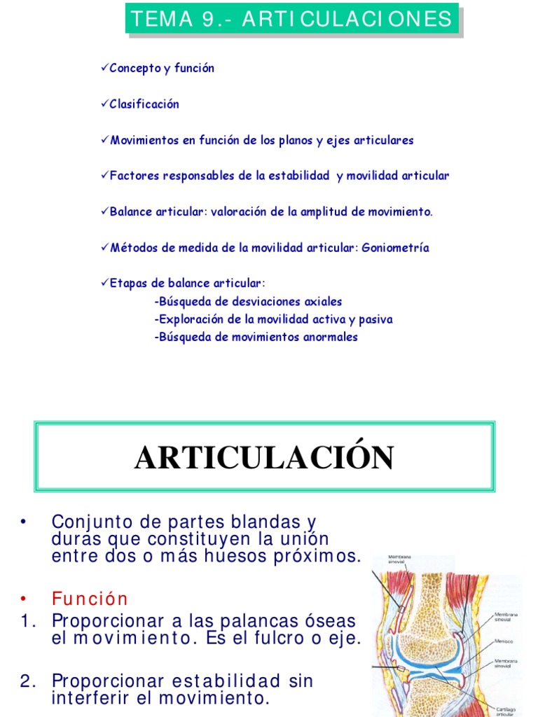 Tema09 Articulaciones Web | PDF | Articulación | Articulaciones