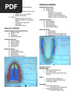 Maxillary Anatomy for Denture Design | PDF | Dentures | Tooth