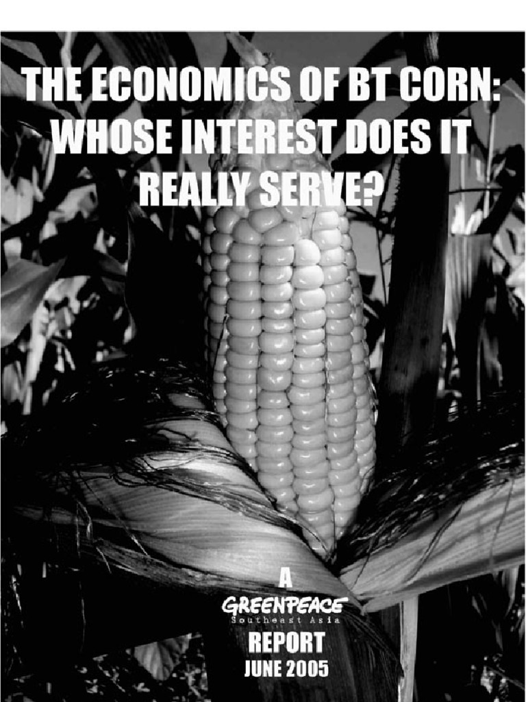 Economics of Bt Corn in the Philippines | PDF | Genetically Modified ...