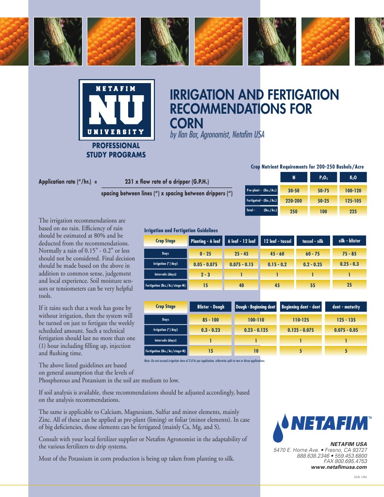 Corn Irrigation & Fertigation Guide | PDF | Fertilizer | Irrigation