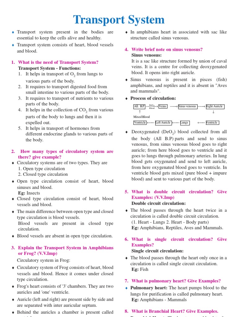 Transport System | PDF | Heart Valve | Circulatory System