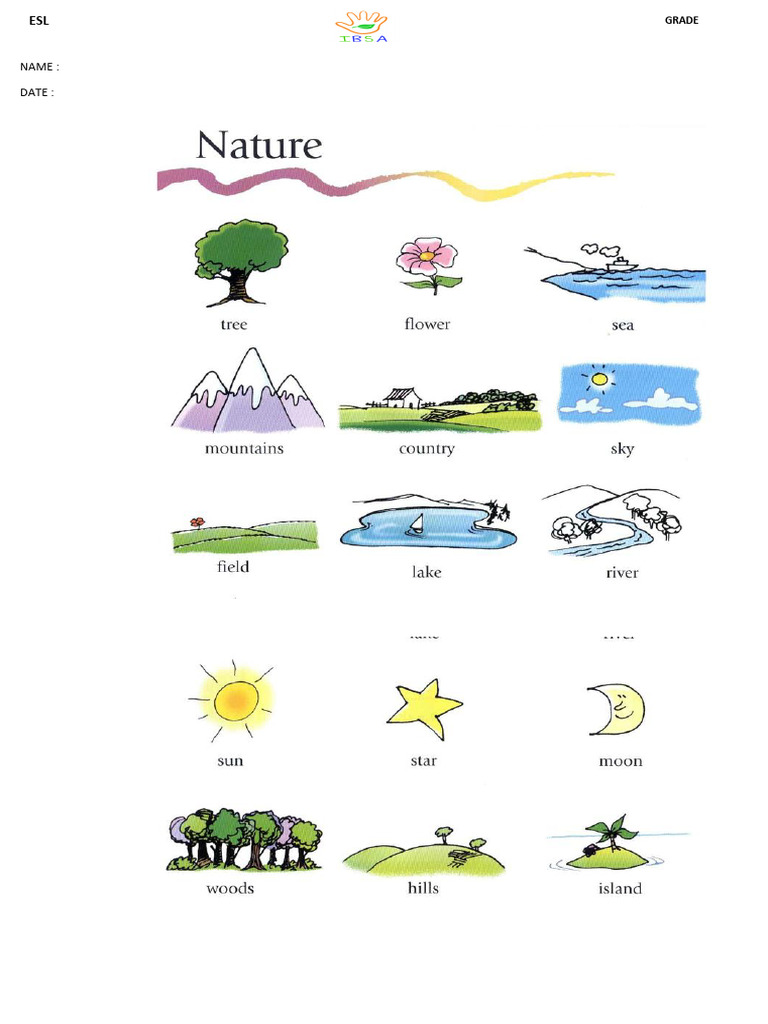 Grade 3 Nature | PDF