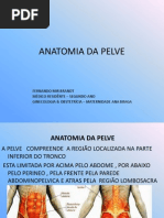 Pelve e Períneo | PDF | Pélvis | Anatomia