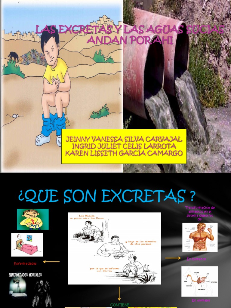Que Son Excretas | Letrina | Tanque séptico