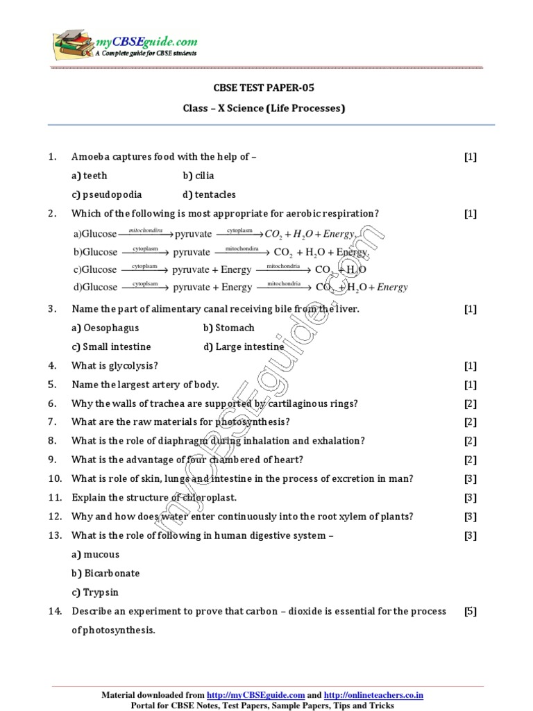 Class 10 Life Processes Test Paper | PDF