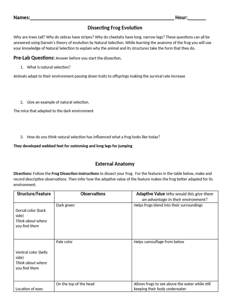 Frog Dissection Questions Revised | PDF | Frog | Natural Selection
