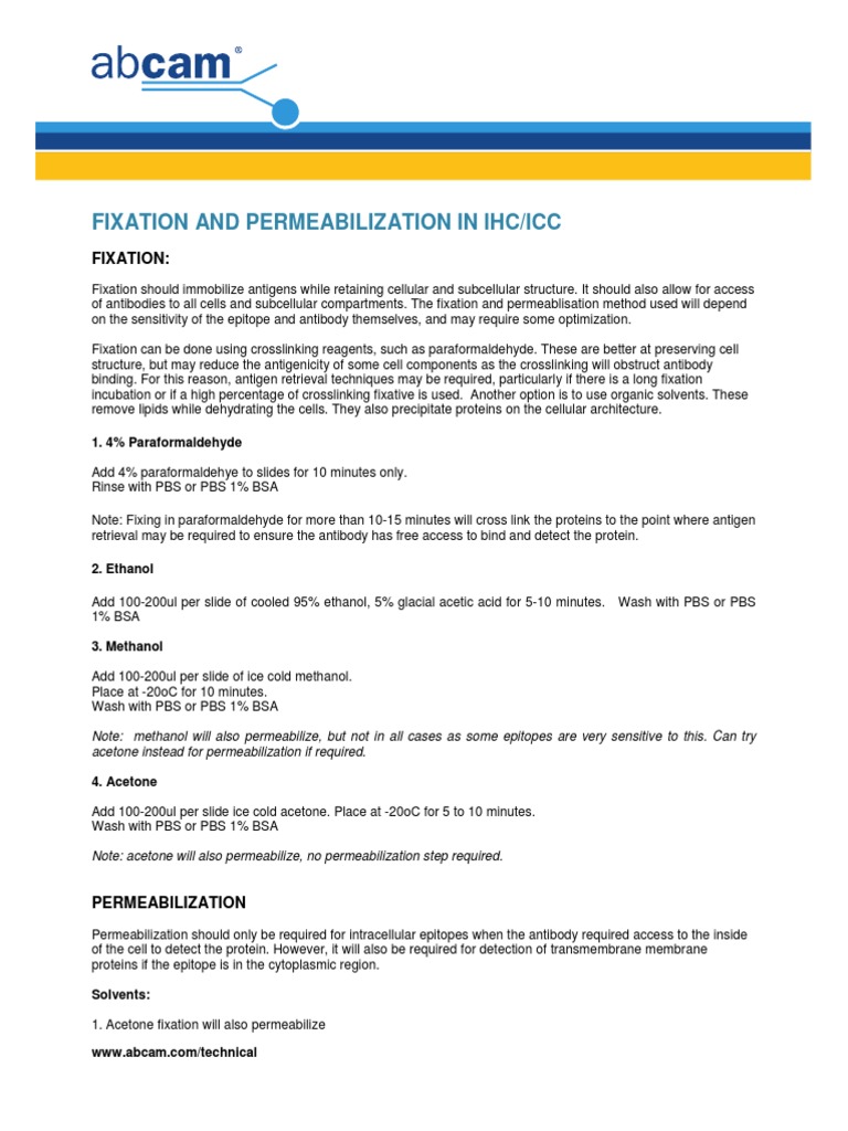 Fixation and Permeabilization in Ihc or Icc Abcan | PDF | Fixation (Histology ...