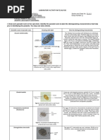 Parasite Ova and Cyst Identification Chart | PDF | Egg