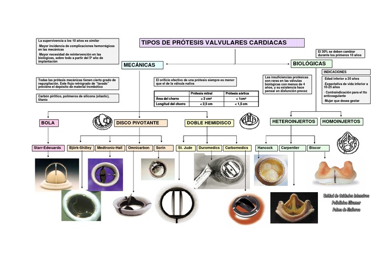 Tipos de Prótesis Valvulares Cardíacas | PDF