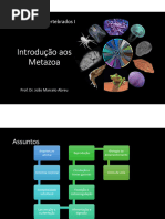 Simetria Corporal em Animais | PDF | Sistema nervoso | Corpo humano