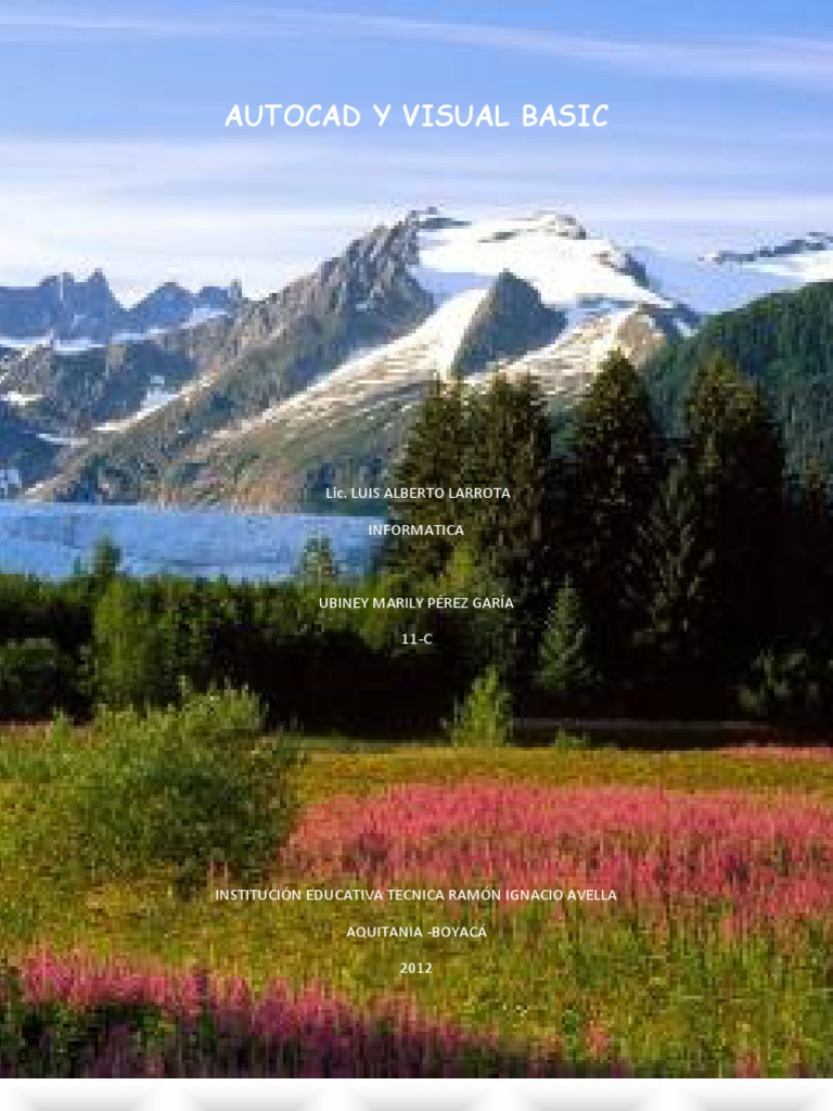 Autocad y Visual Basic | PDF | Entorno de desarrollo integrado | Básico