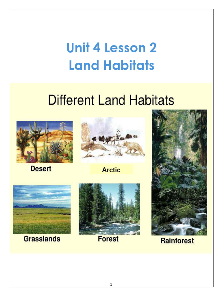 Unit.4 Lesson.2 Land Habitats Summary | PDF | Rainforest | Grassland