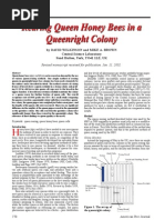 Blue Hive Guide For All v1.0 | PDF | Beehive | Honey