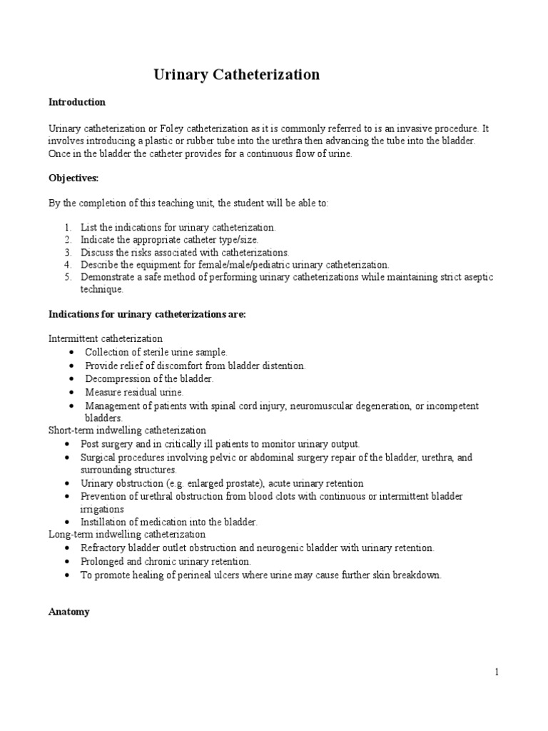 Urinary Catheterization Printable | PDF | Urinary Bladder | Urination