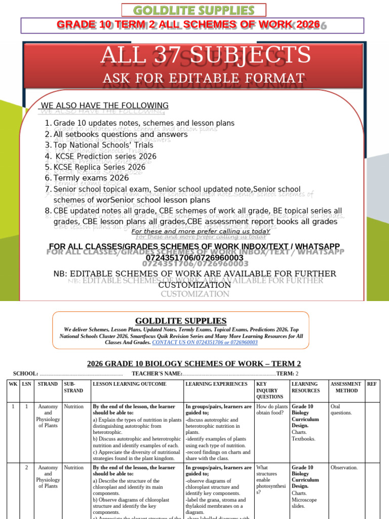 g10 Term 2 All Schemes of Work | PDF | Stoma | Root