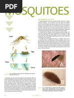 Gallant® Super Herbicide Label | PDF | Weed
