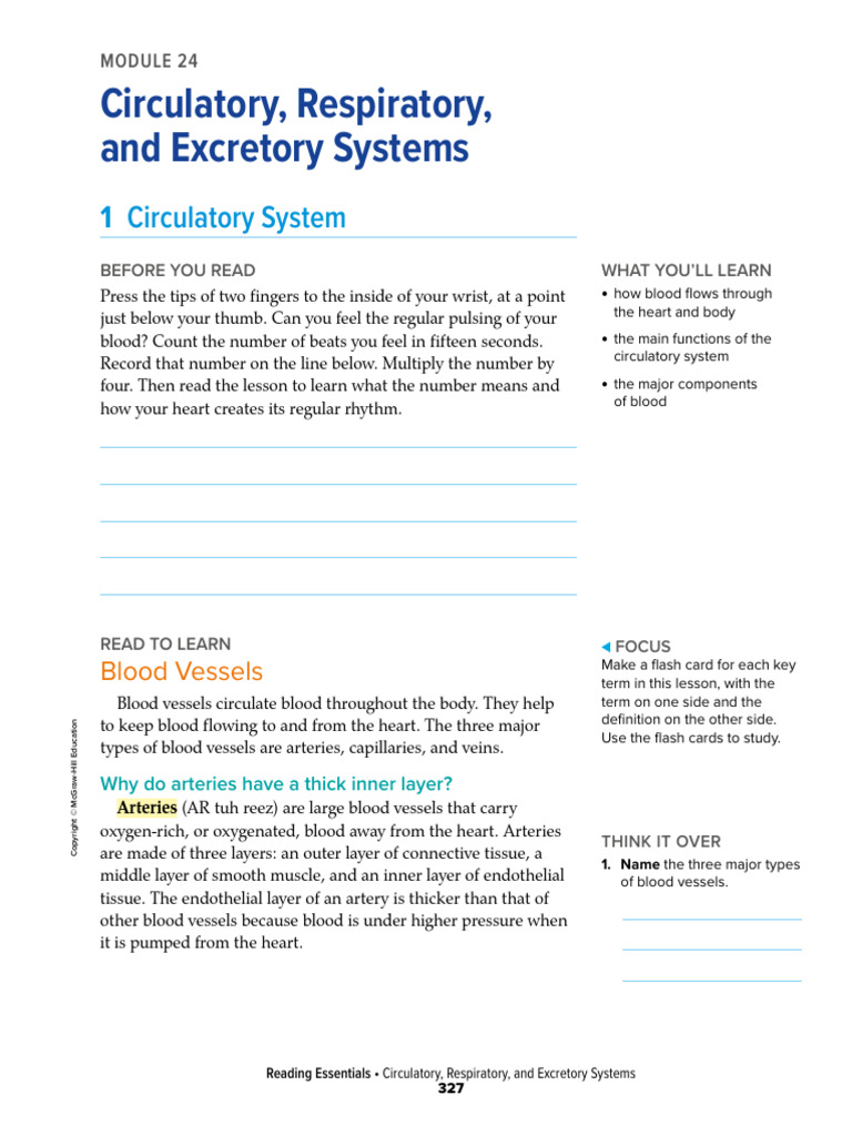 Circulatory System Notes | PDF | Heart | Atrium (Heart)