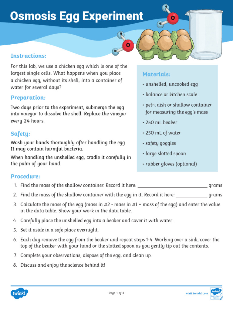 Osmosis Egg Experiment | PDF | Osmosis | Cell Membrane