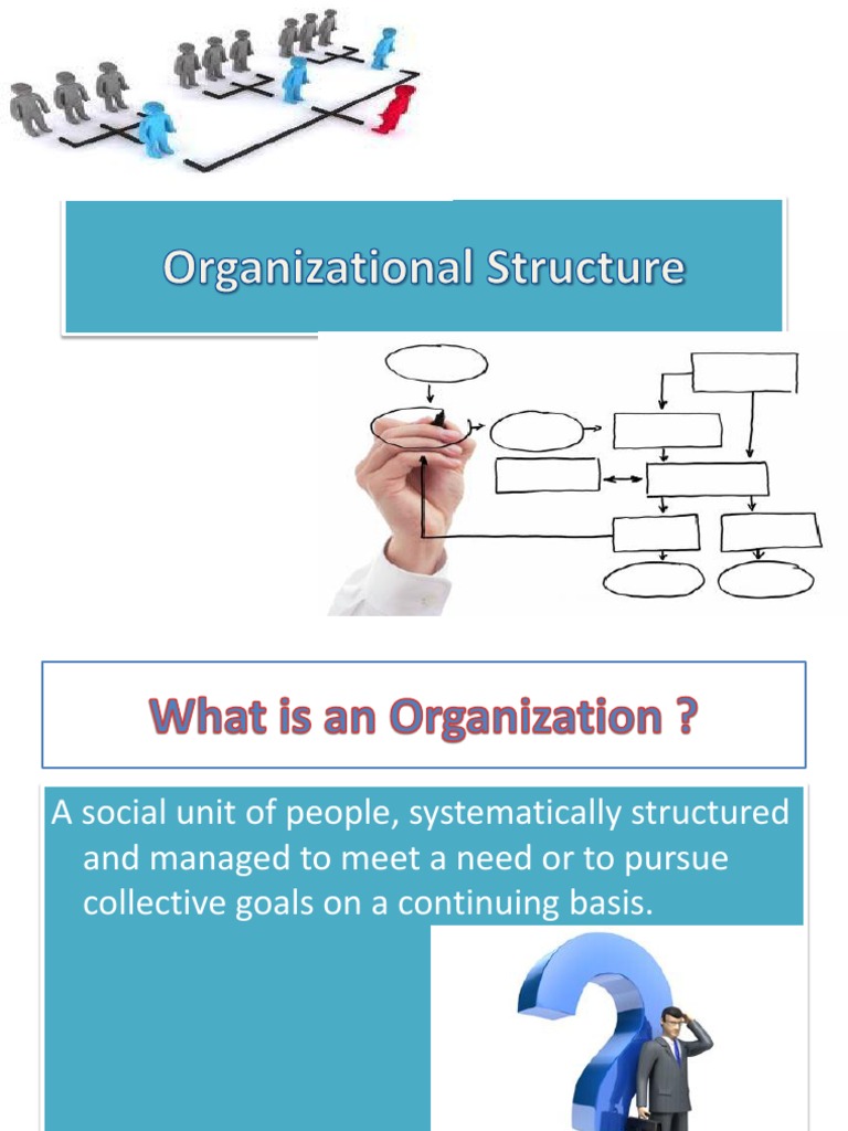 Organizational Structure | PDF | Organizational Structure | Accountability