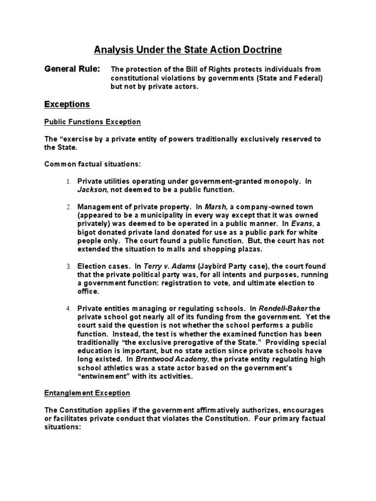 Analysis Under The State Action Doctrine | PDF | State Actor | United ...