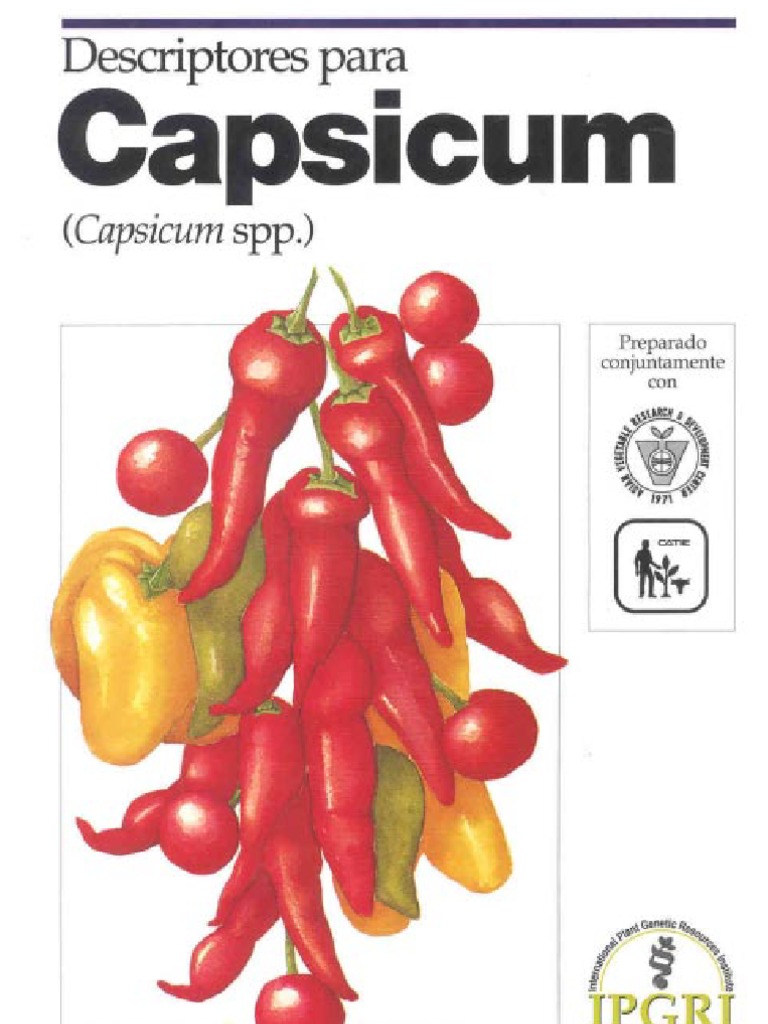 Descriptores Capsicum IPGRI | PDF | Roca (geología) | Arena