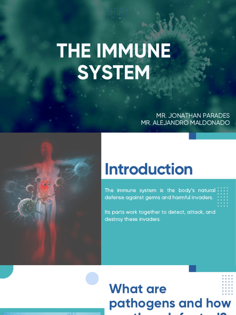 Body Systems Immune System | PDF | Immune System | Vaccines