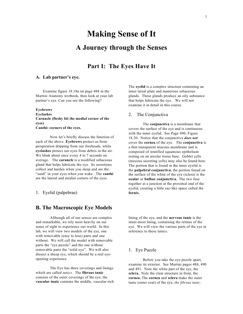 15making Sense of It | PDF | Ear | Hearing