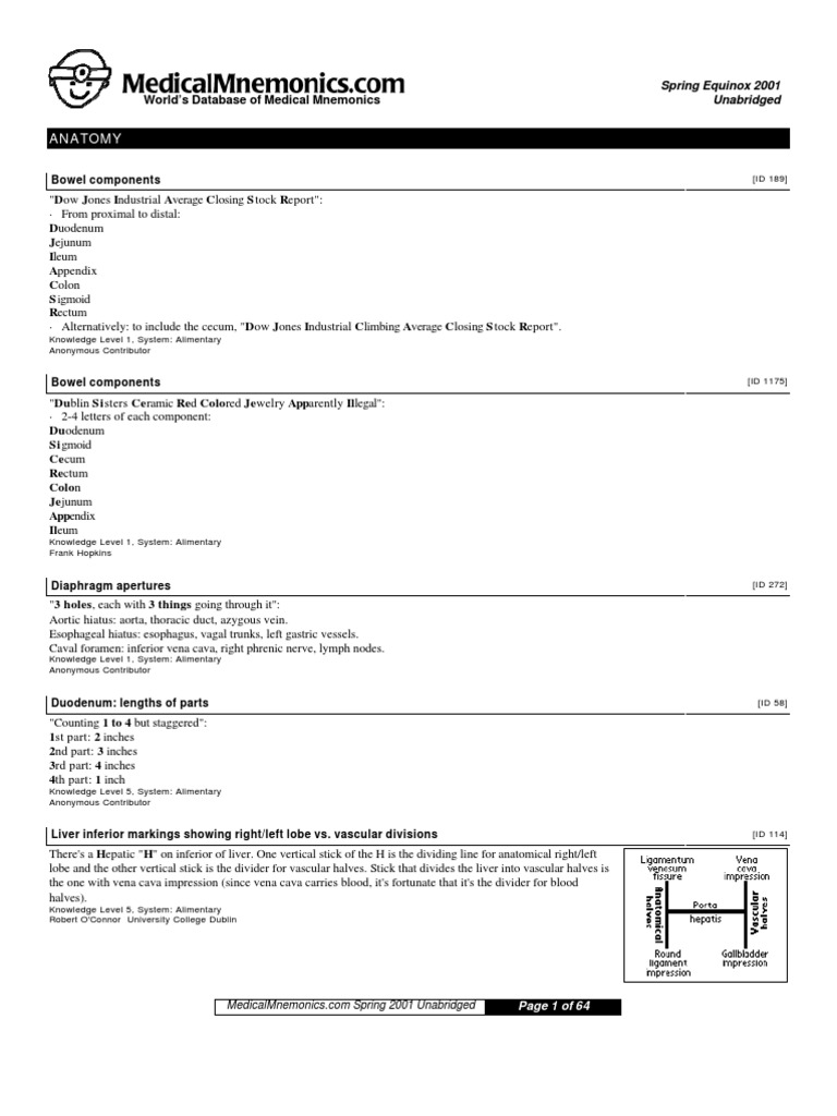 Medical Mnemonics for Anatomy and Vascularity | PDF