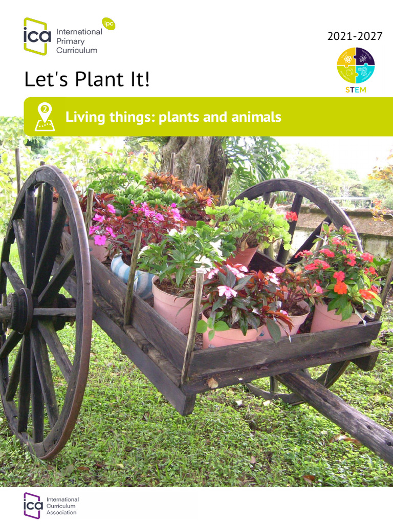 Lets Plant It | PDF | Leaf | Science