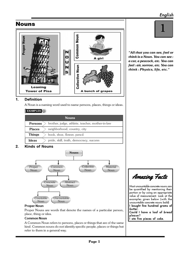 English Grammar 6th (M.H BOARD Sample) | PDF | Grammatical Gender | Plural