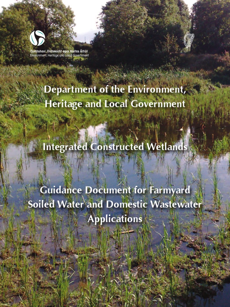 Wetland Ecosystem Services Nature's Values: Ecosystem Services