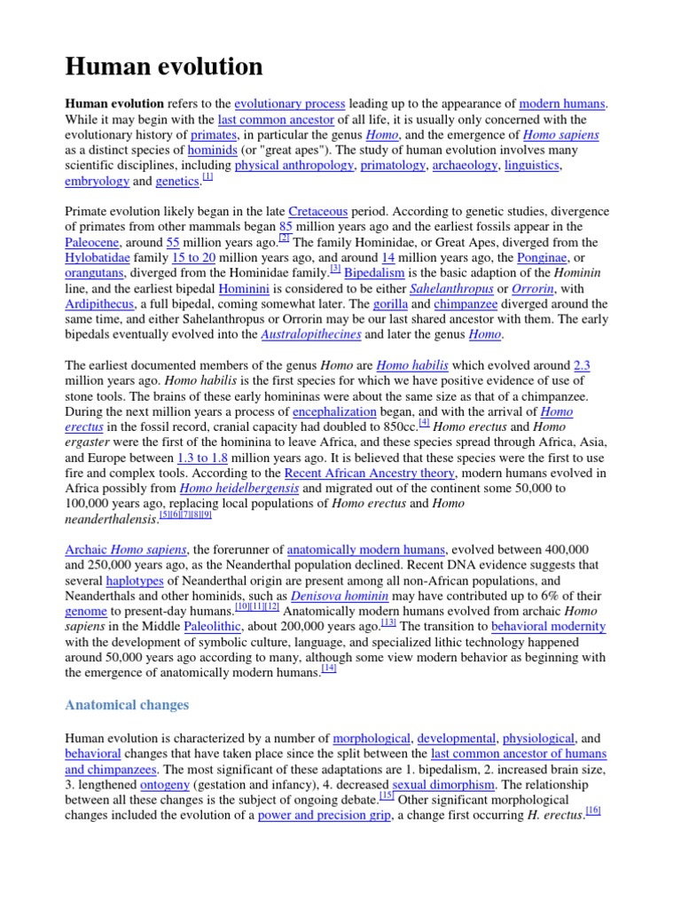 Human Evolution | PDF | Human Evolution | Hominidae