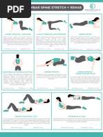 AAOS Spine Conditioning Program Guide | PDF | Anatomical Terms Of ...